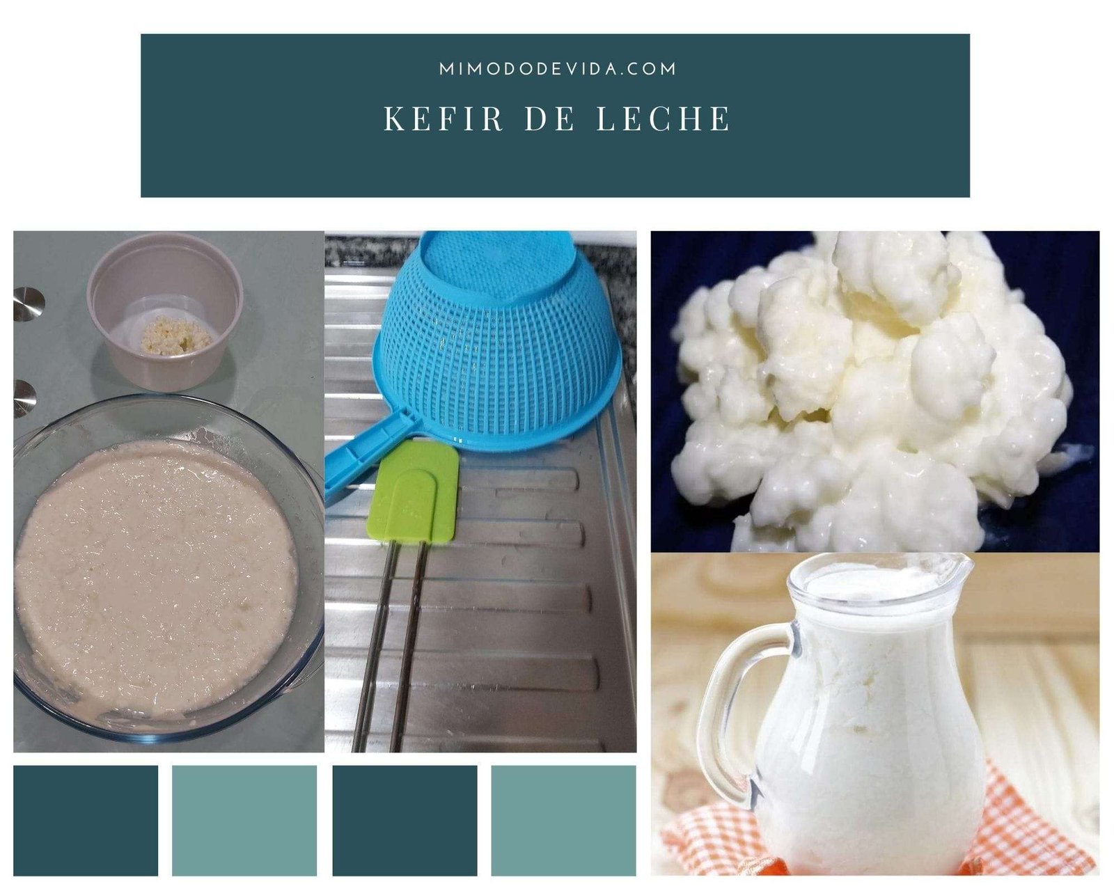 Cómo hago Kéfir de leche. Cuidados - MI MODO DE VIDA